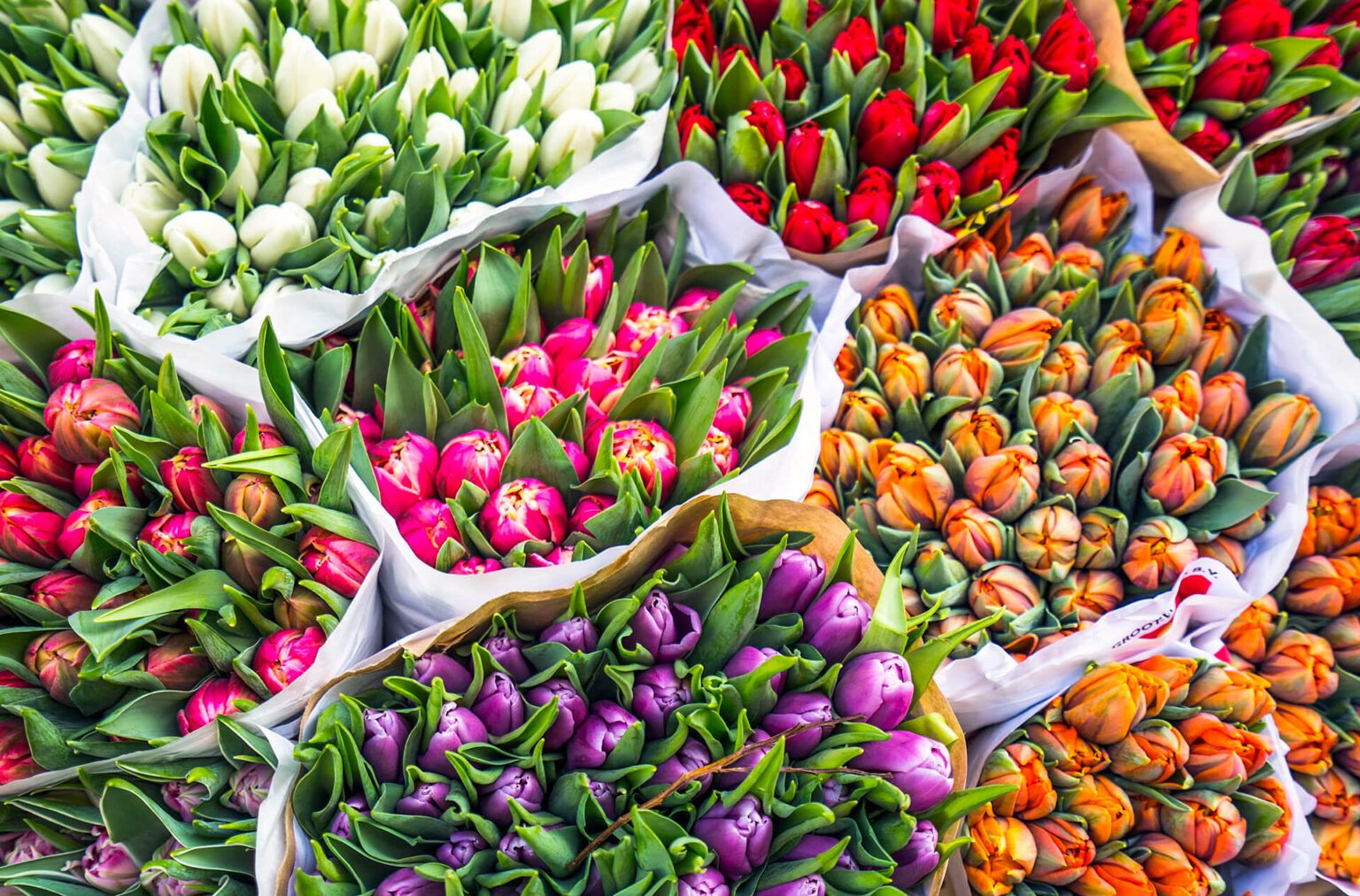 Teleflora POS System Packages - eFlorist by Teleflora